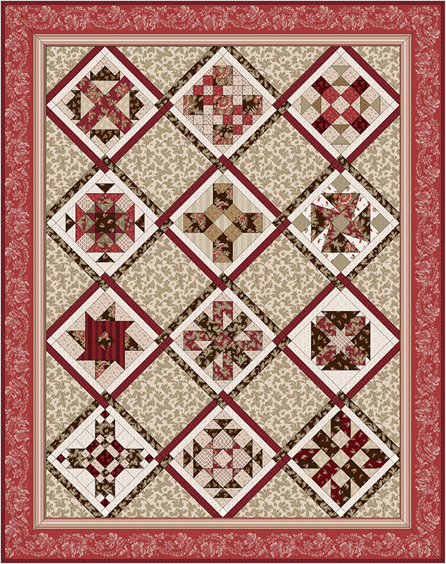 Doctors In Dresses BOM – The Quilters Quarters